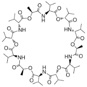 Valinomycin, 95% - Krins Life Sciences